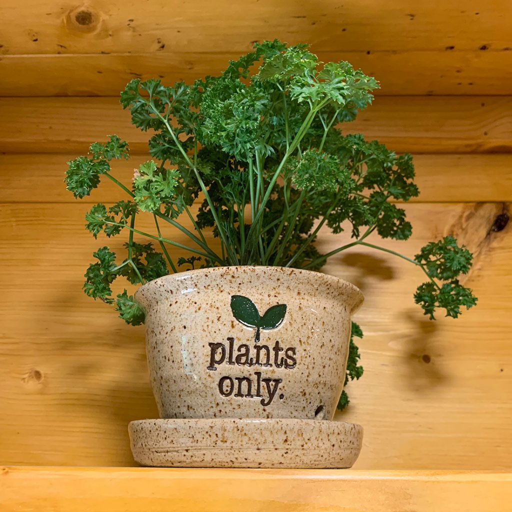 Stoneware Kitchen Herb Pot – Plants Only